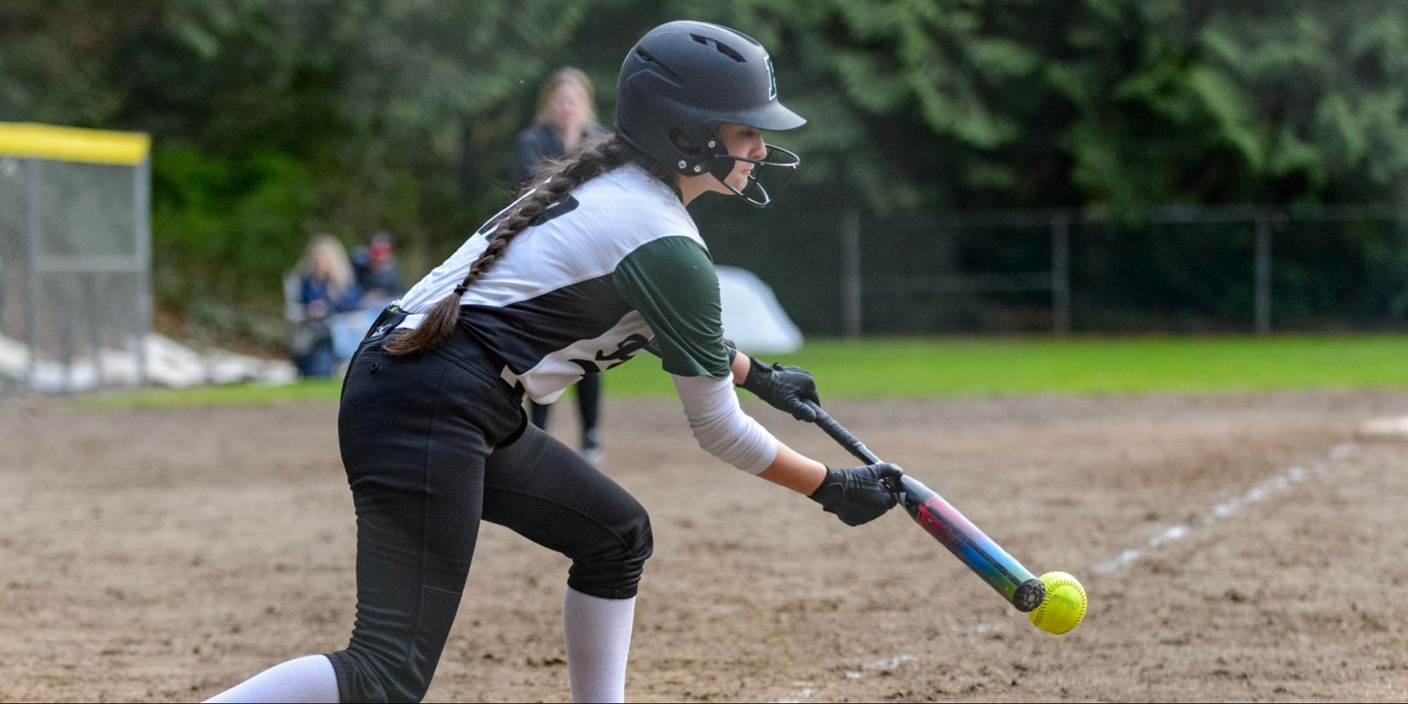 Do Aluminum Baseball Bats Break? What causes a broken bat